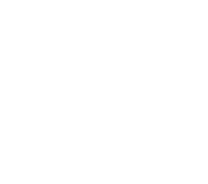 Our Egg Range – Exceptional Foods