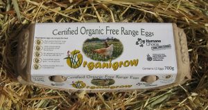 Our Egg Range – Exceptional Foods